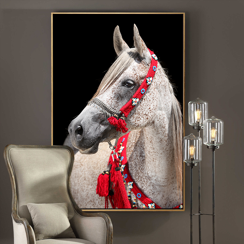 White arabian horse | MUR Gallery